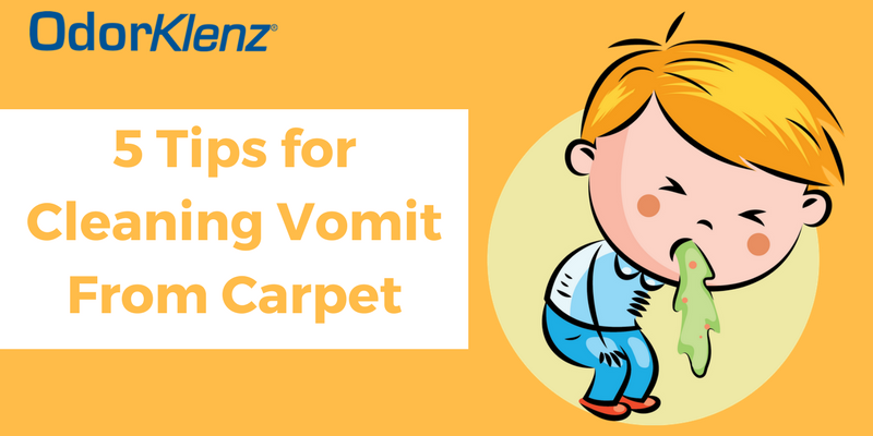 5 Tips for Cleaning Vomit From Carpet – Odorklenz